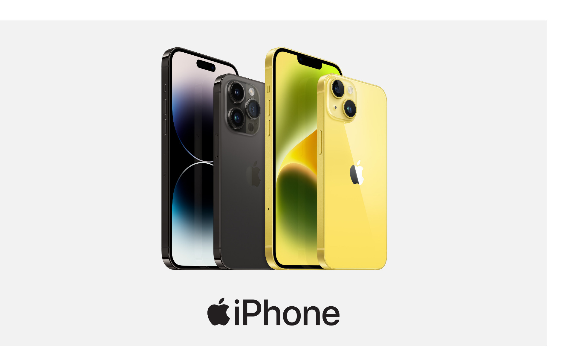 SIS Apple | eraspace.com